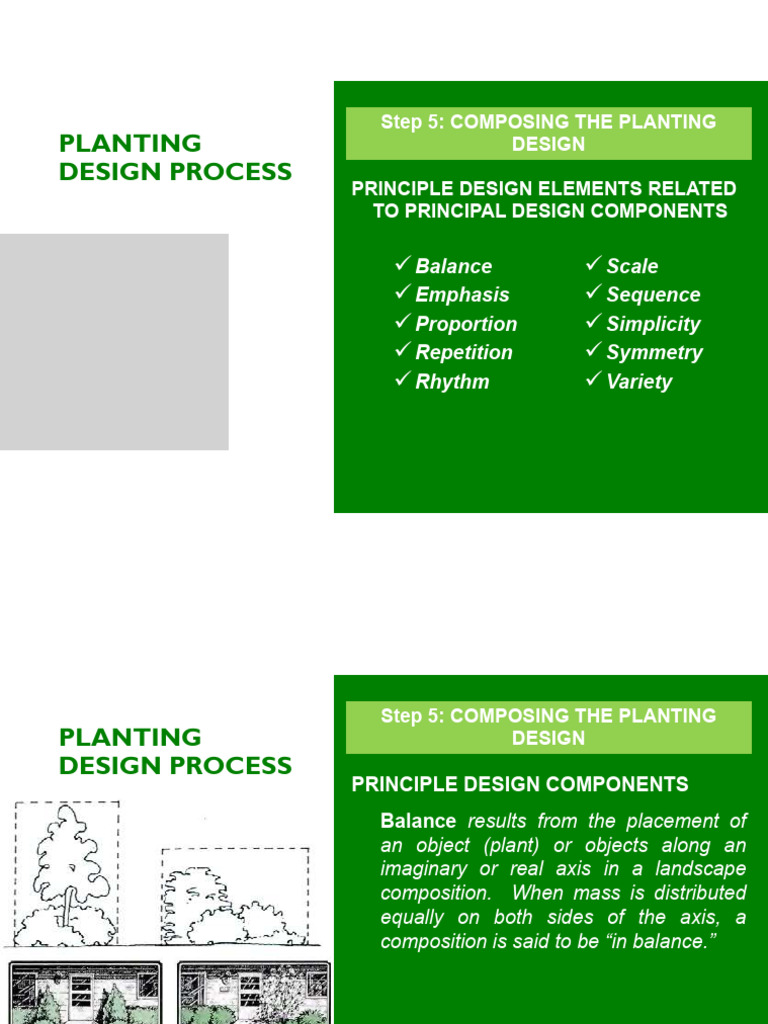 Midterm Week 5-6 - Principles and Guidelines | PDF | Symmetry | Rhythm