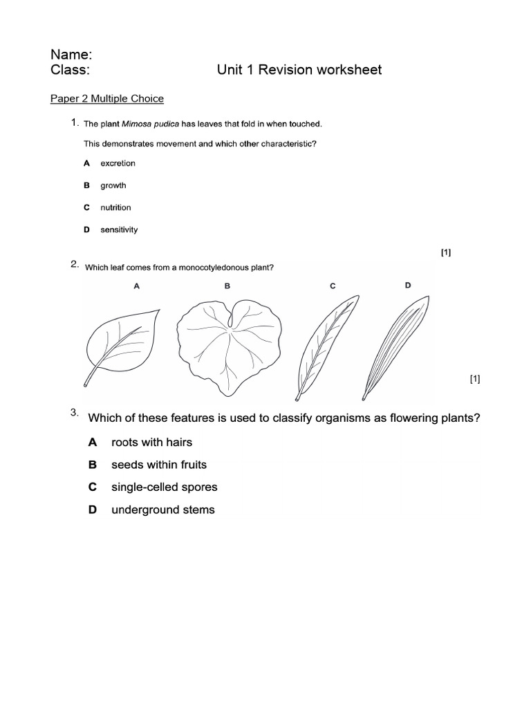 Revision Worksheet Unit 1 | PDF