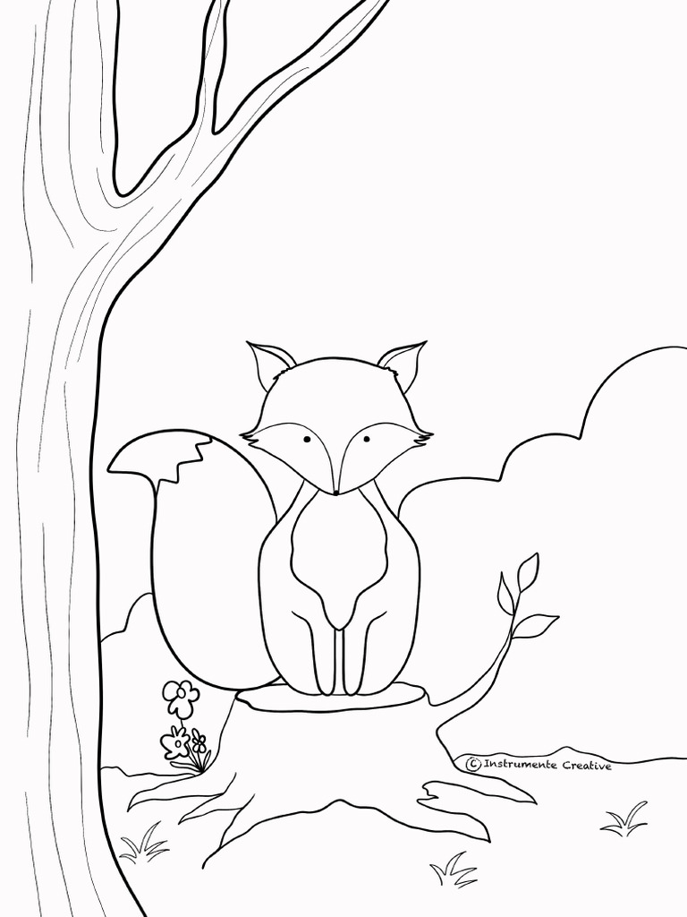 Fise Colorat - Padure Vulpe | PDF