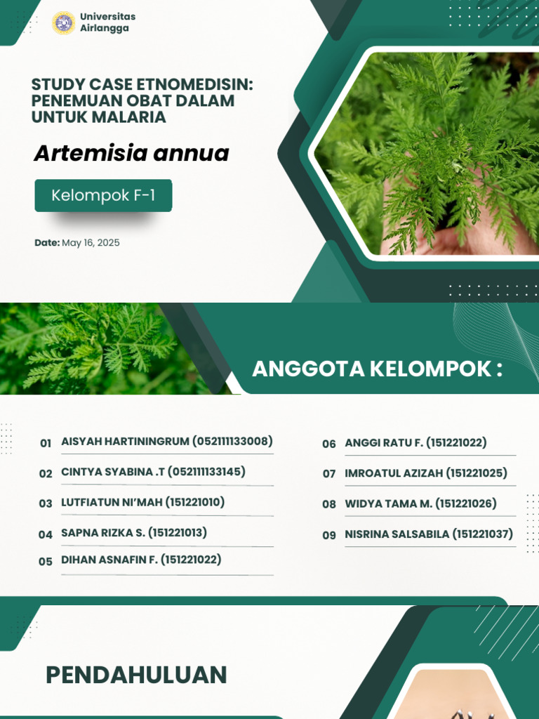 Study Case Etnomedisin Penemuan Obat Dalam Untuk Malaria | PDF