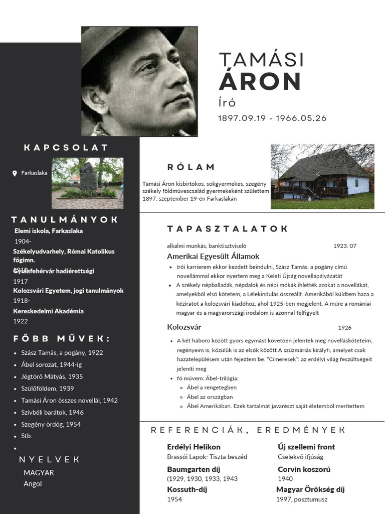 CV Tamási Áron | PDF