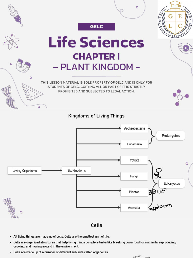 Gelc Starter Ged SC c1 | PDF