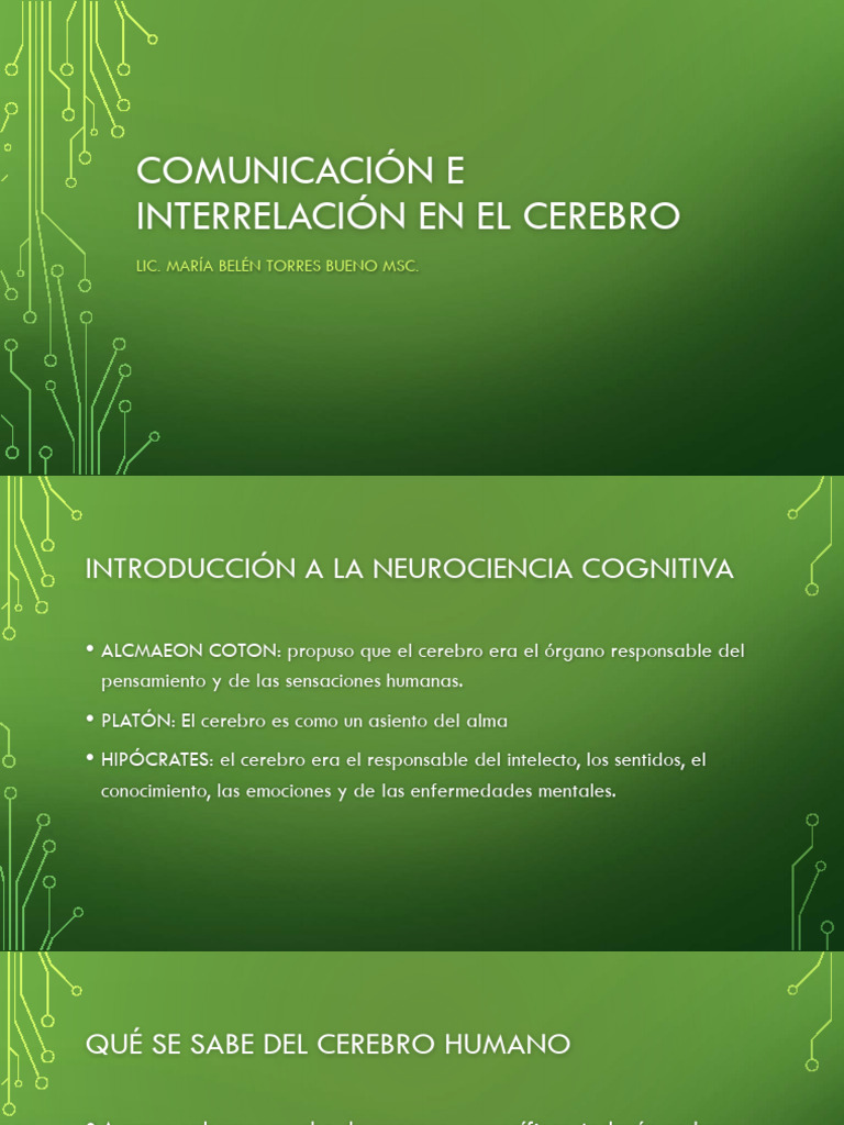 Clase 4 Comunicación e Interrelación en El Cerebro | PDF | Cerebro ...