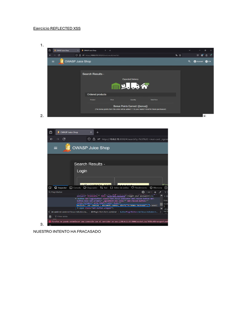 Ejercicio Reflected Xss | PDF