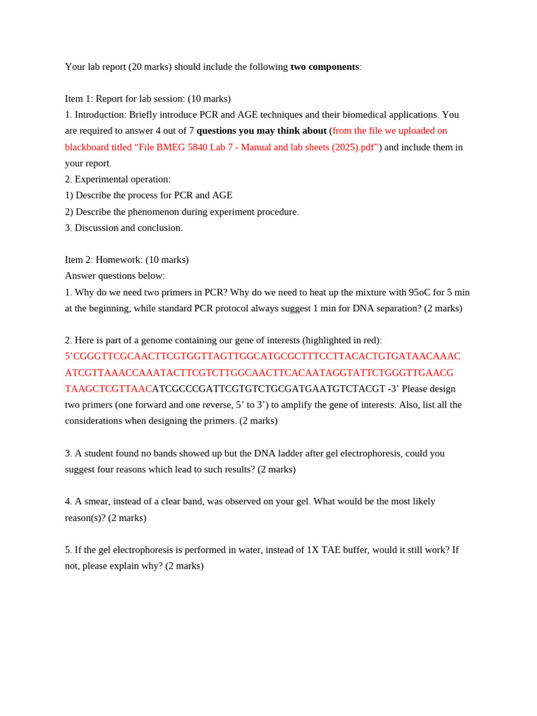 PCR and AGE Lab Report Guidelines | PDF
