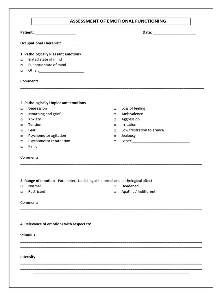 Emotional Functioning Assessment Form | PDF | Emotions | Mind