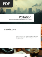 Pollution Presentation | PDF