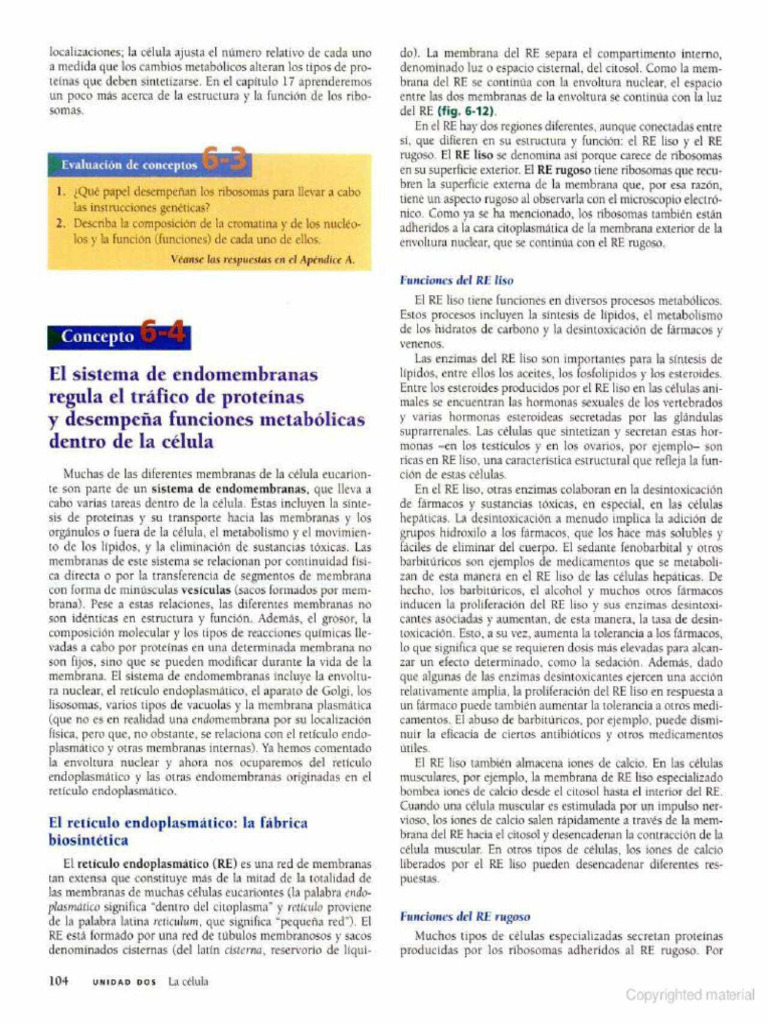 Metabolismo Celular | PDF | Lisosoma | Membrana celular