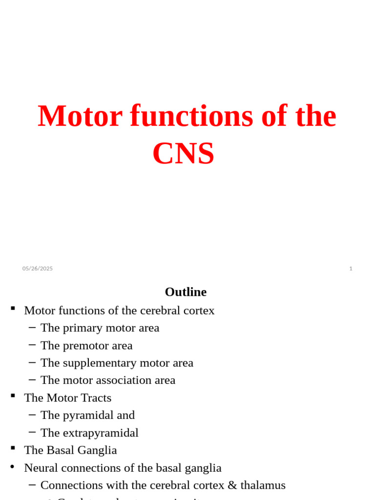 Motor Functions of The CNS - Physiology | PDF | Motor Neuron | Basal ...