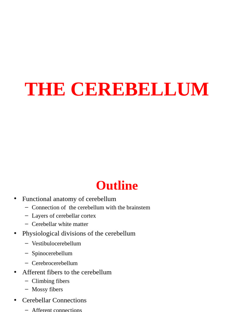 THE CEREBELLUM - Physiology | PDF | Cerebellum | Neuroanatomy