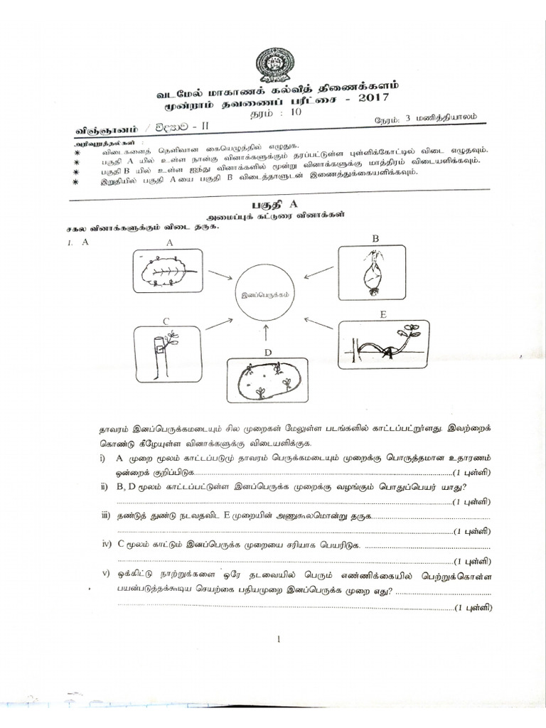 Science Class 2 | PDF