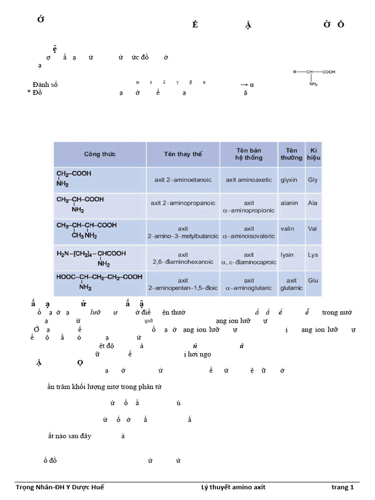 4. Lý thuyết amino axit 2024 Đề | PDF