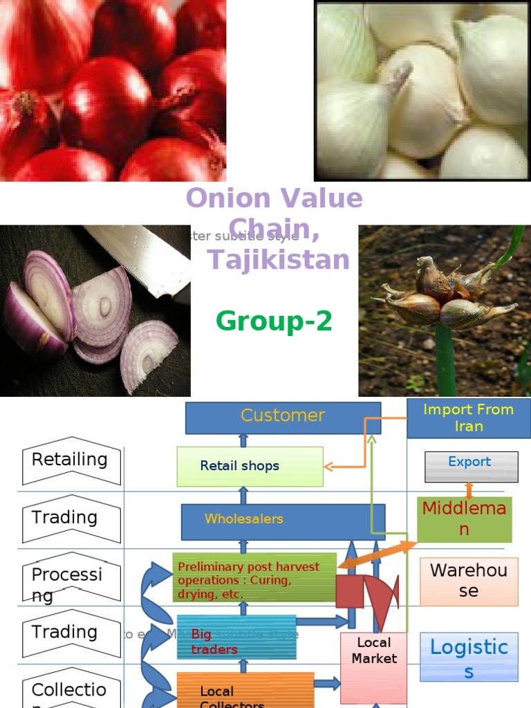 Onion Value Chain in Tajikistan | PDF | Business | Technology & Engineering