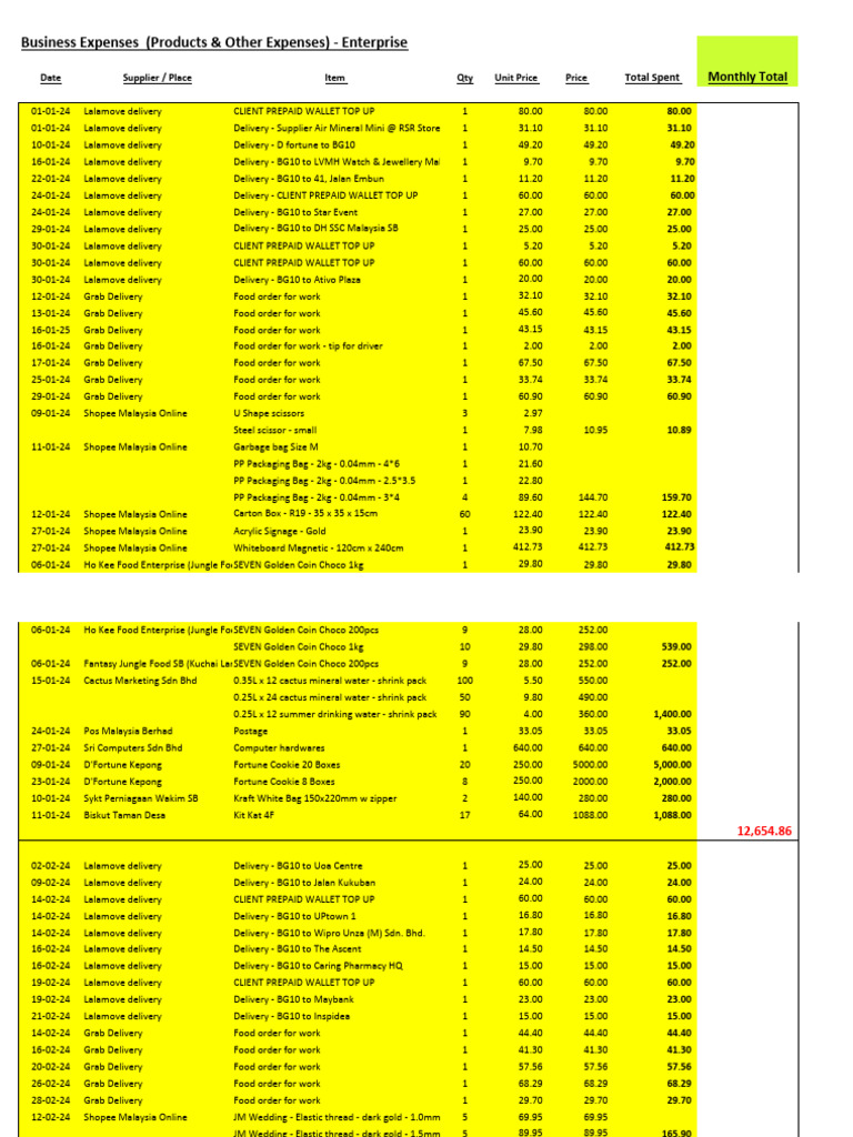 Master Company Expenses 2024 | PDF