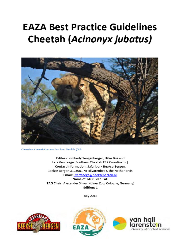 EAZA Guidelines for Cheetah Care | PDF | Predation | Lion