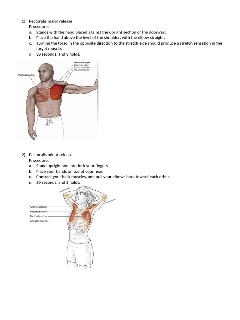 Upper Body Self Release | PDF