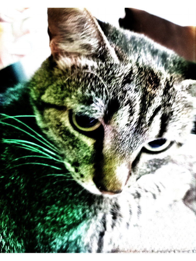 PDFReader 20250526 1130 | PDF