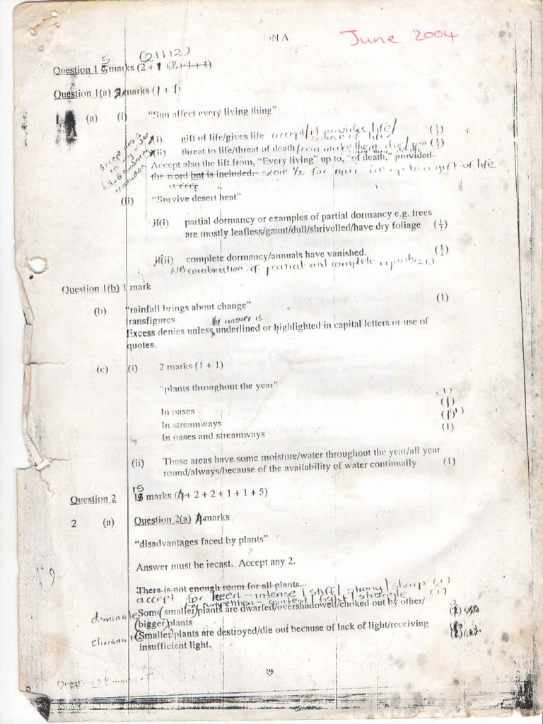 June 2004 Marking Scheme | PDF