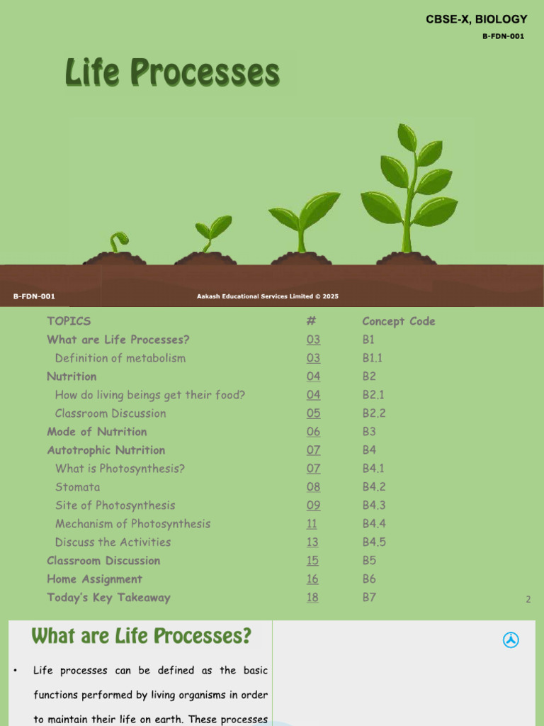 CBSE - C-X - Ch-01 - Life Processes - PPT - 01 - Final - Unlocked | PDF