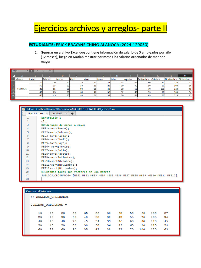 Ejercicios Archivos y Arreglos | PDF