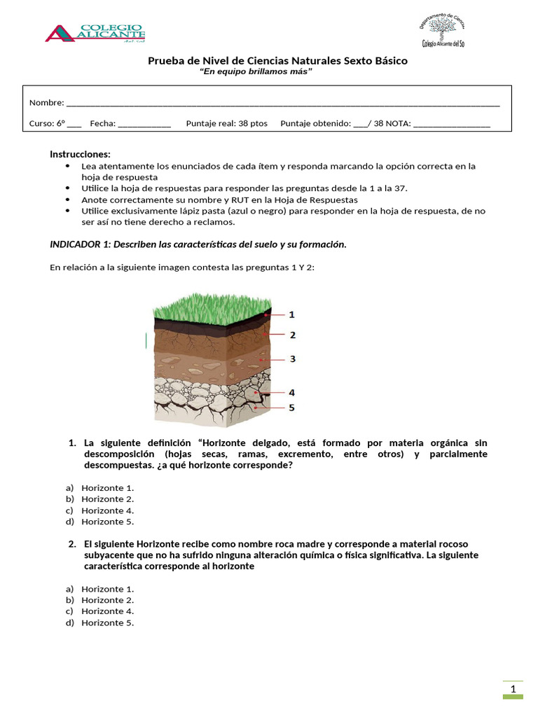 Prueba de Ciencias Naturales 6° Básico | PDF | Suelo | Contaminación