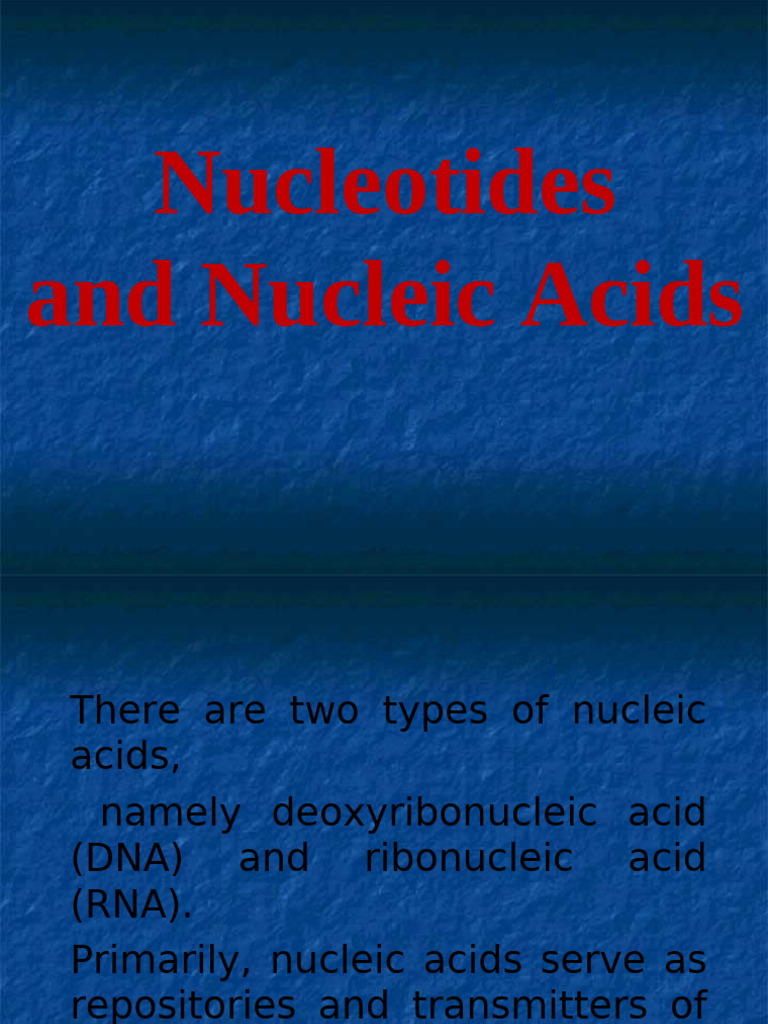 Nucleotide Structure-1 | PDF | Nucleotides | Nucleic Acids
