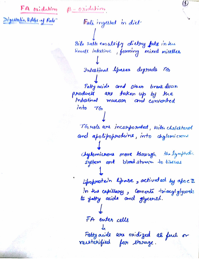FA Oxidation - New | PDF