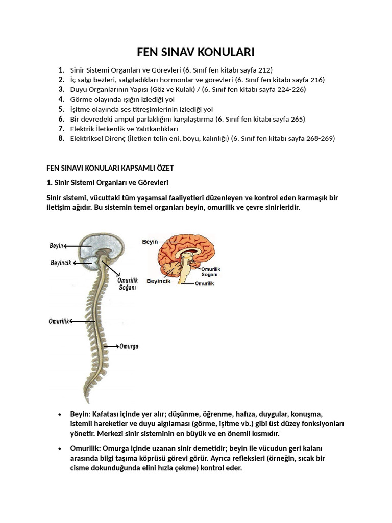 Fen Sinav Konulari | PDF