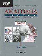 Netter - Anatomía de Cabeza y Cuello para Odontólogos, 3rd Edition Full ...