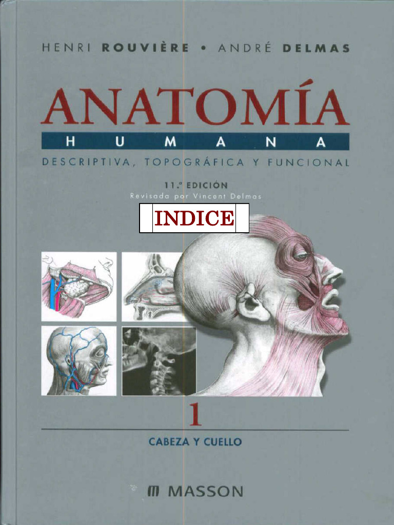 Rouviere Tomo 1 - Anatomía Humana 11a Ed | PDF