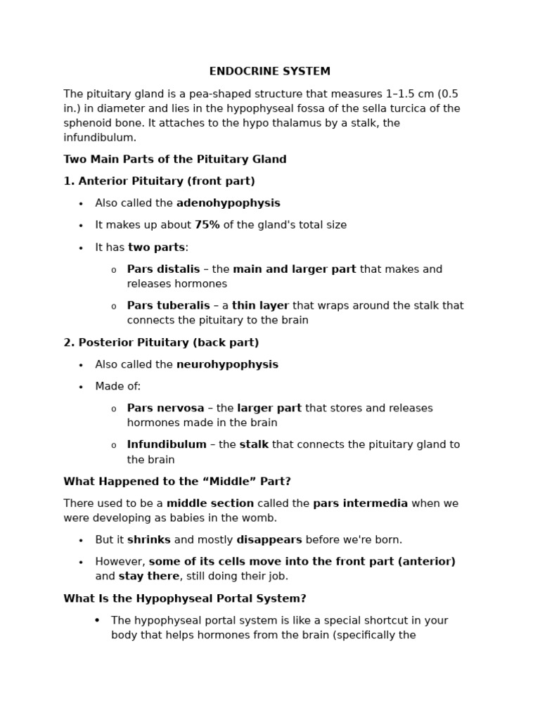 Endocrine System Reviewer | PDF | Adrenal Gland | Pituitary Gland