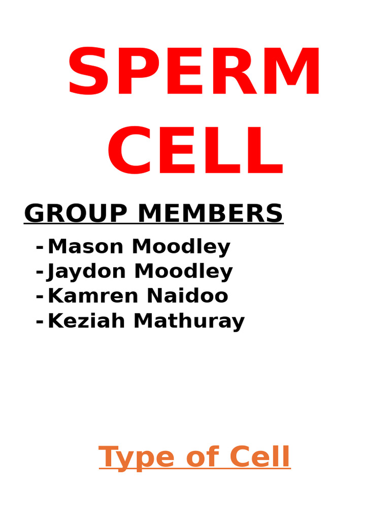 Ns Poster Work | PDF