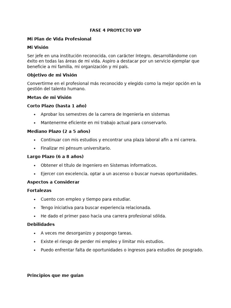 FASE 4 PROYECTO VIP | PDF