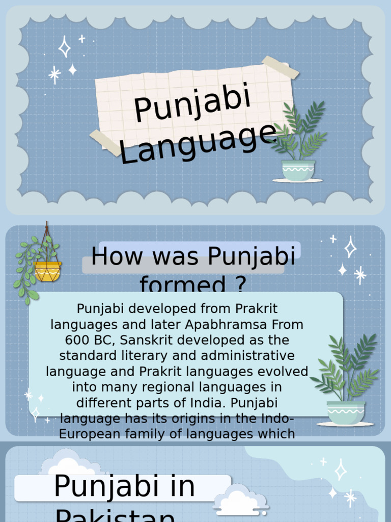 Socail PPT Pujabi Language | PDF
