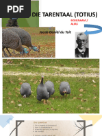 Die Tarentaal | PDF