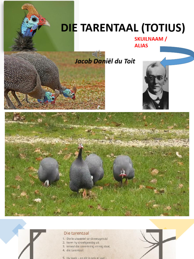 Die Tarentaal (Totius) | PDF