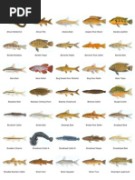 Fish Tycoon 2 | PDF | Aquatic Animals | Fish And Humans