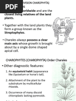 Structure and Life Cycle of Chara | PDF | Algae | Biology