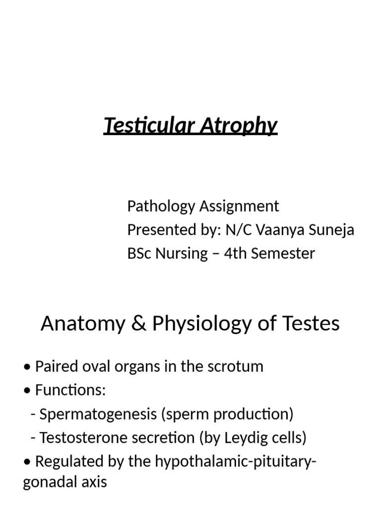 Testicular Atrophy BSC Nursing | PDF