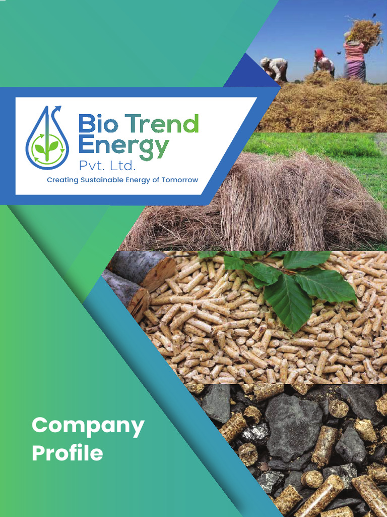 BTE Brochure (Company Profile) | PDF | Sustainable Technologies | Fuels