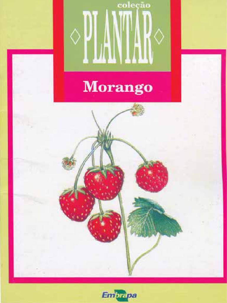 A Cultura Do Morango | PDF