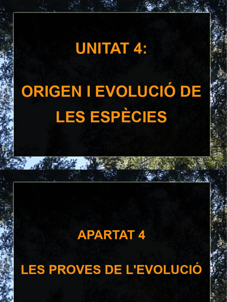 04 Proves Evolucio | PDF
