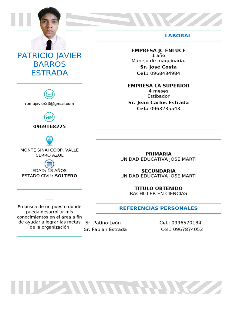 Patricio Javier Barros Estrada | PDF