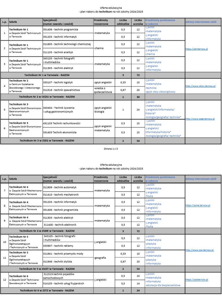 02.oferta Edukacyjna - Plan Naboru Do Technikum - 2024-2025 | PDF