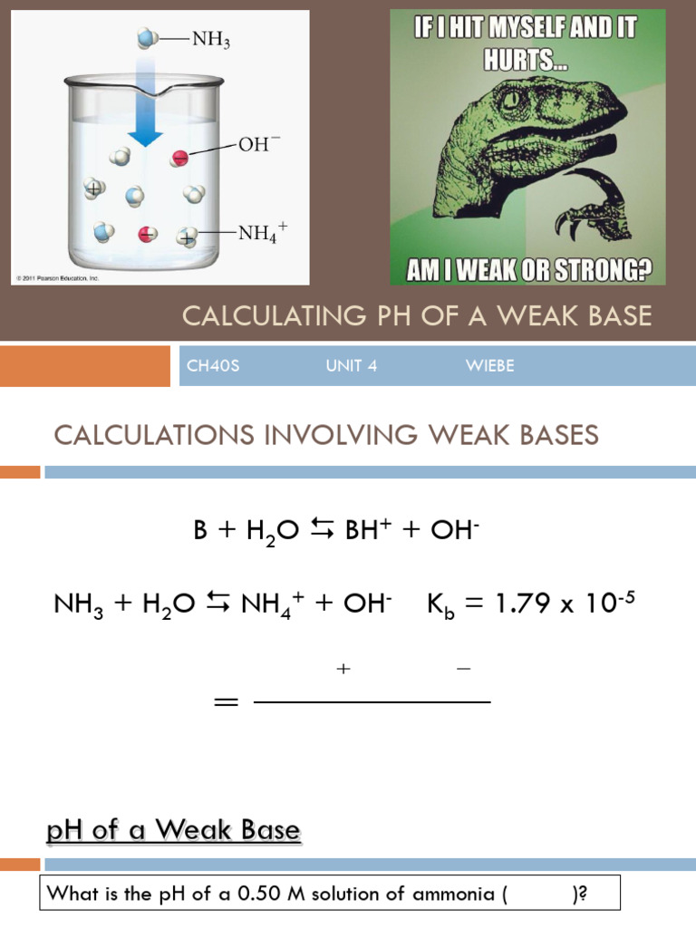 Calculating PH of A Weak Base | PDF | Ph | Ammonia