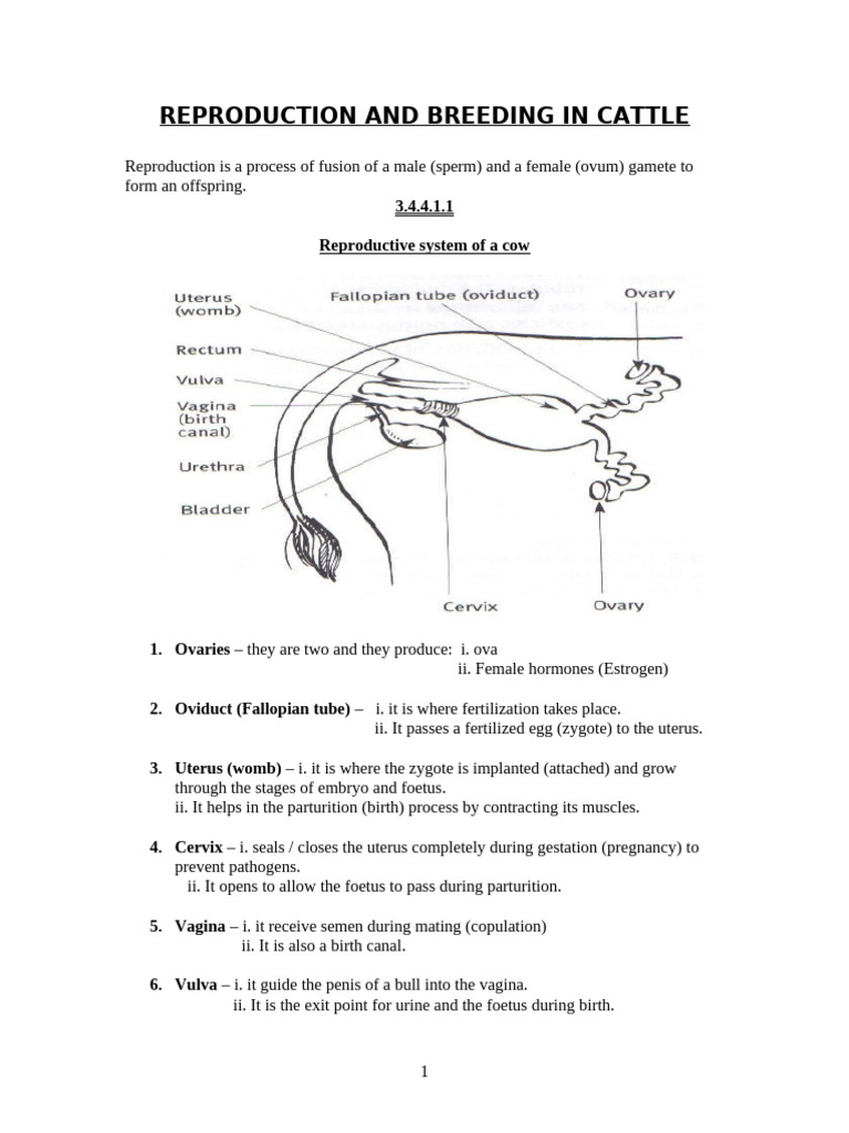 Reproduction and Livestock Breeding | PDF | Human Reproduction ...