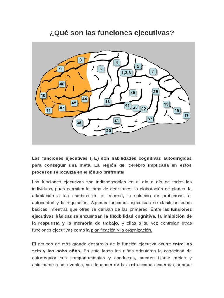 Funciones Ejecutivas: Habilidades Clave | PDF | Funciones ejecutivas ...