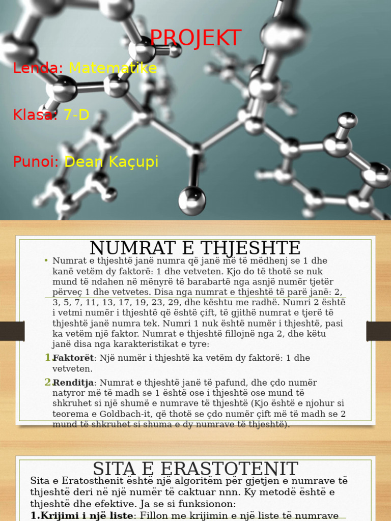Numrat e Thjeshte | PDF
