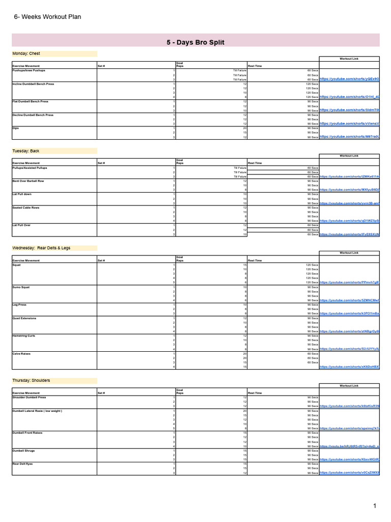 6 - Weeks Workout Plan - Sheet1-2 | PDF | Weight Training | Physical ...