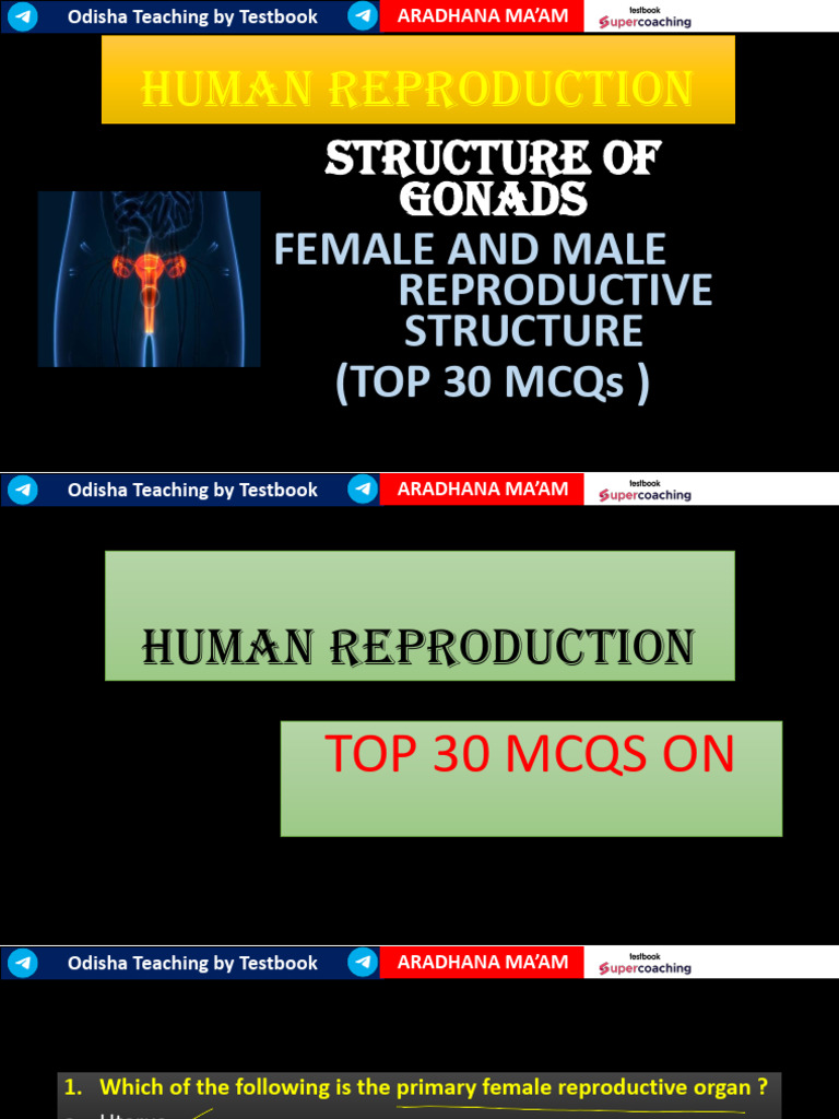 Top 30 MCQ On Human Reproductive System | PDF | Uterus | Testicle